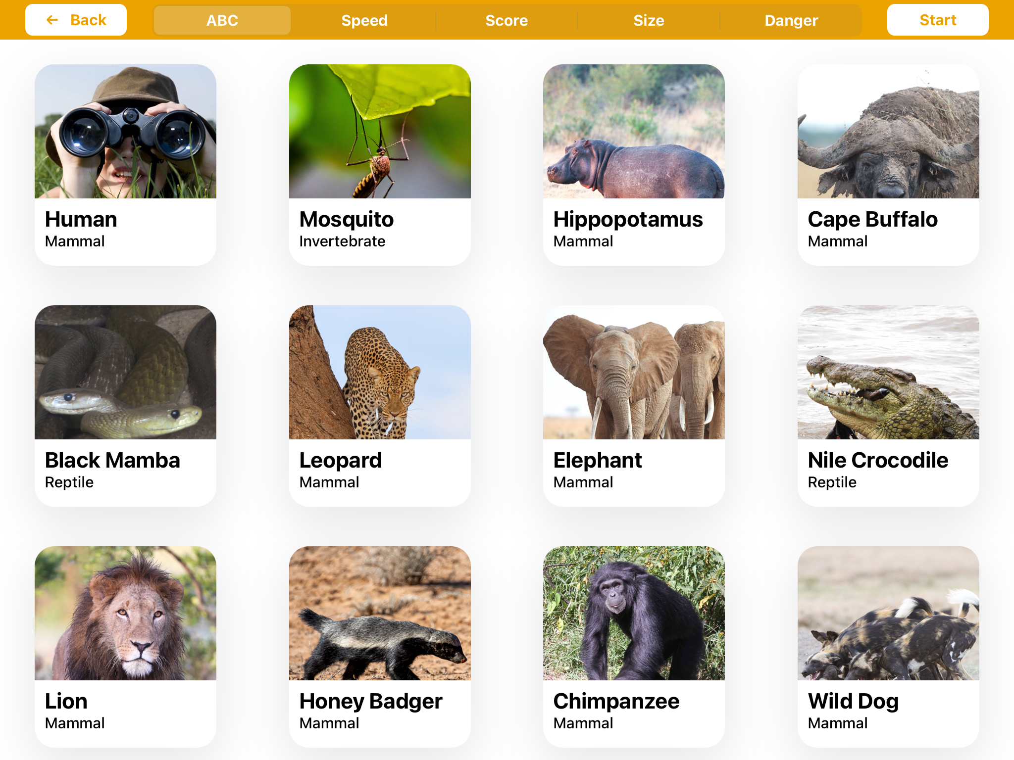 I Spy Safari – The African Wildlife Game for all the Family.