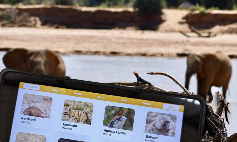 I Spy Safari – The African Wildlife Game for all the Family.